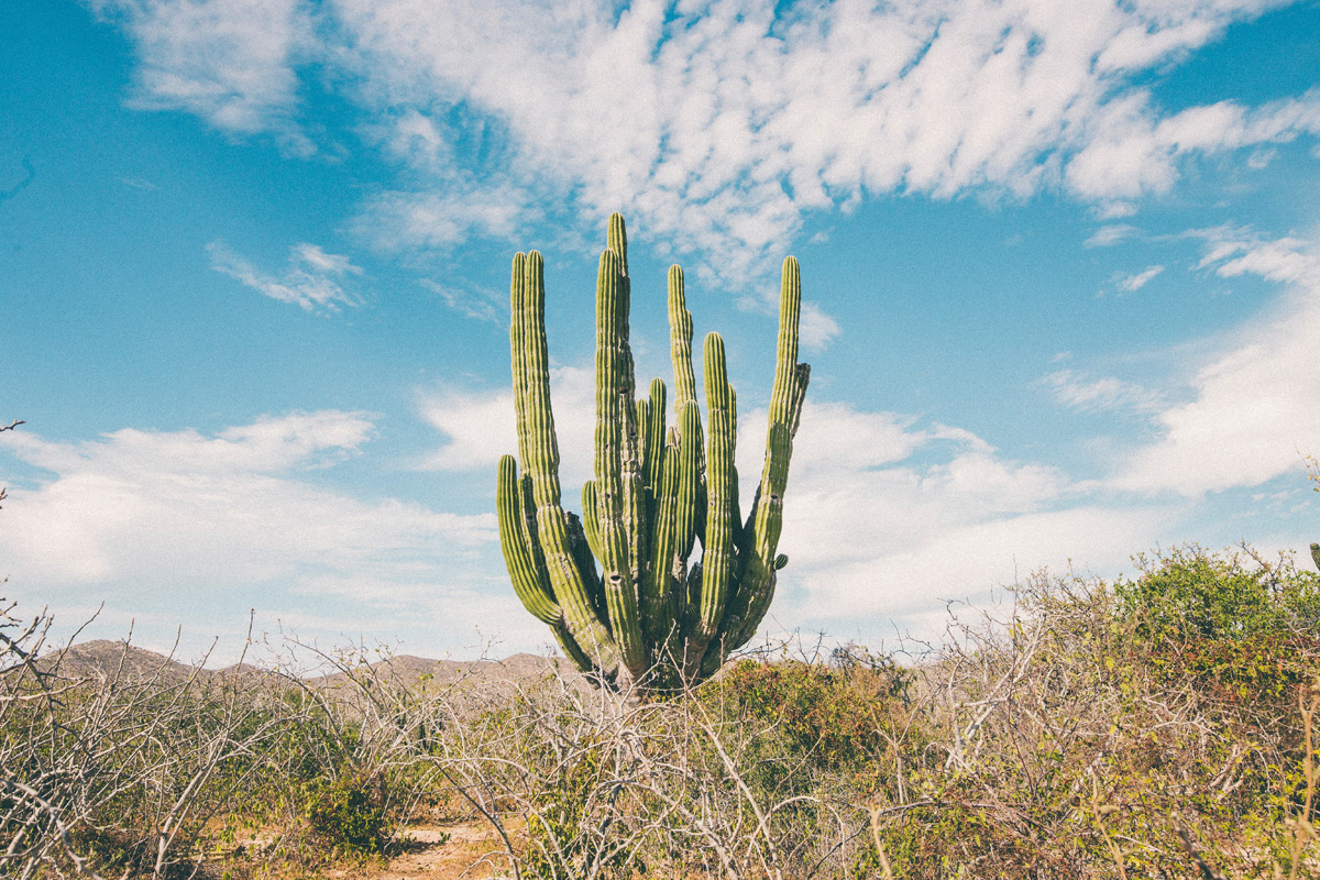 Mexico – A To Z Travel